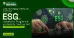 ESG vs SDG: Check Their Role in Sustainable Growth